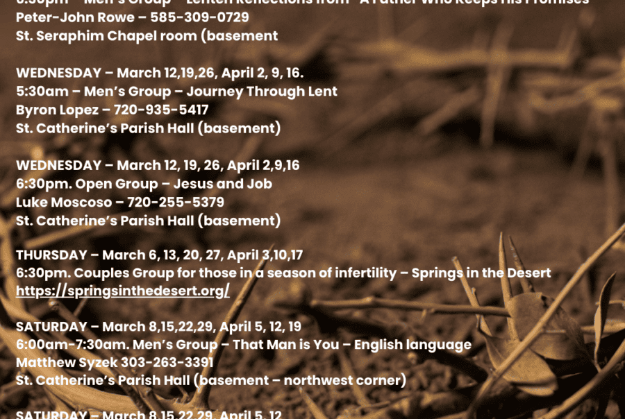 Home | St. Catherine of Siena